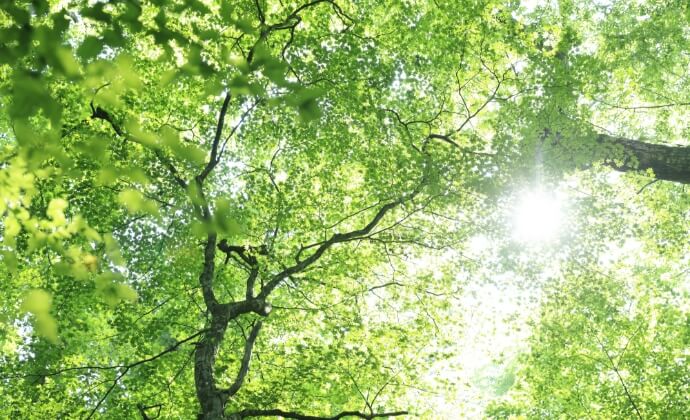 Sustainability - Hokuhoku Financial Group